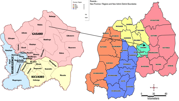 Conscientia Beam || conscientiabeam.com